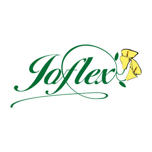 Home - Joflex • Exportation de Fleurs