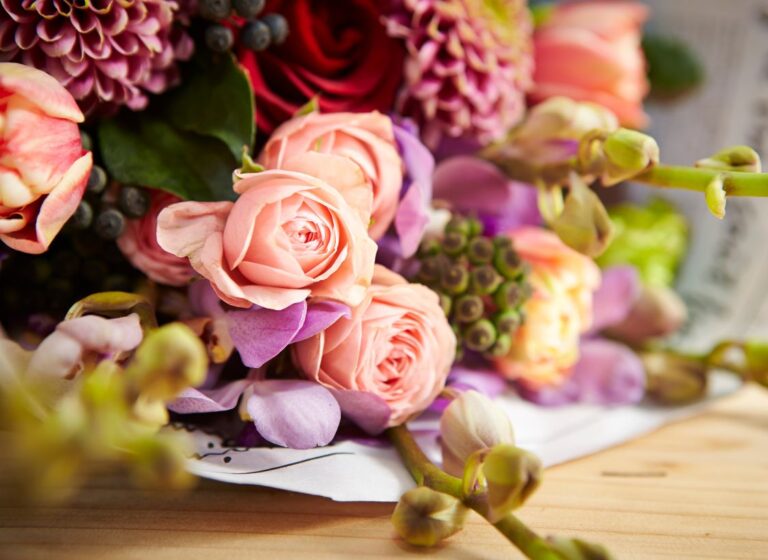 Joflex - Joflex • Exportation de Fleurs