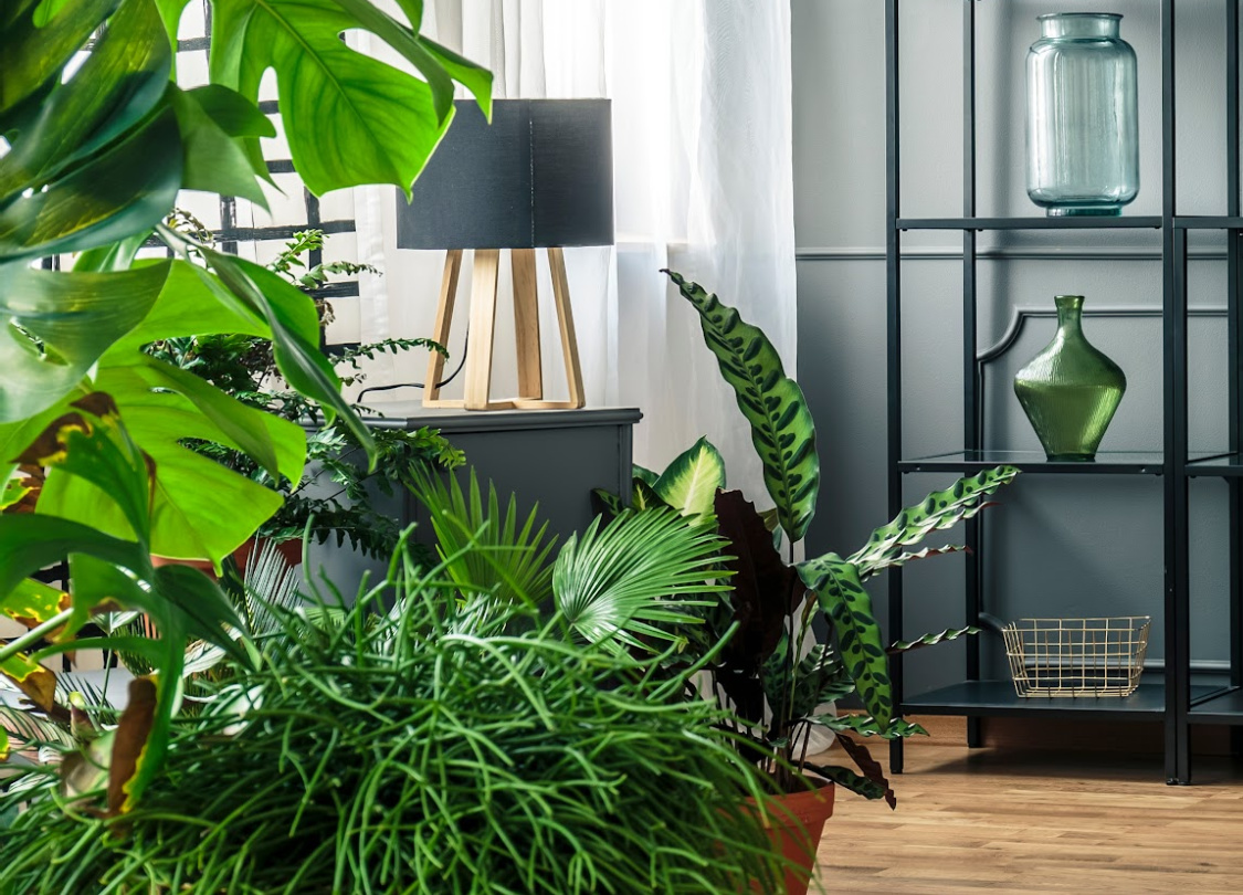 Assortiment - Joflex • Exportation de Fleurs