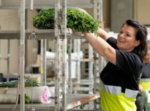 Joflex - Joflex • Exportation de Fleurs